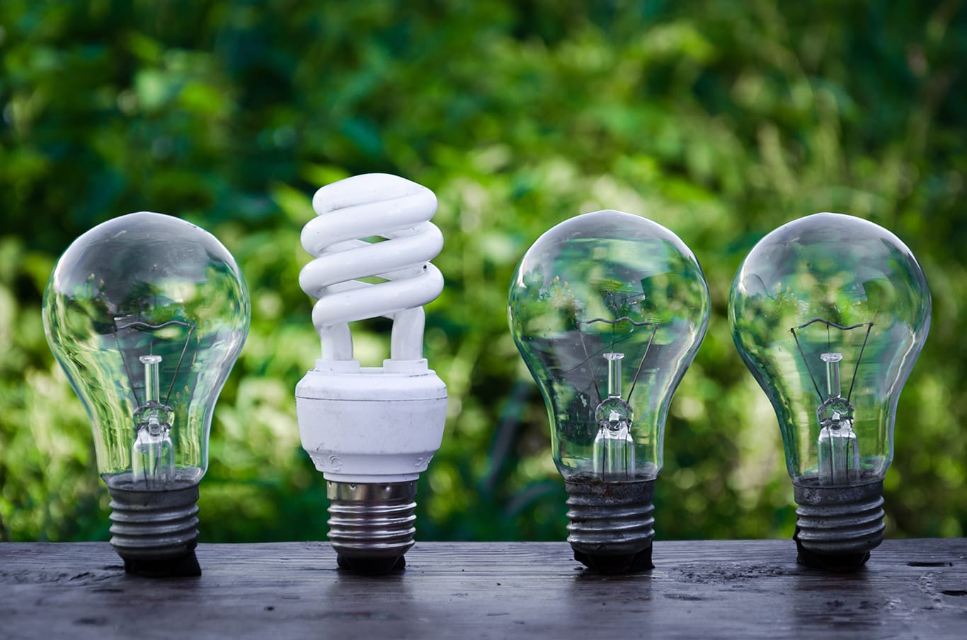 Four Ways to Green Your Business - askHRgreen.org