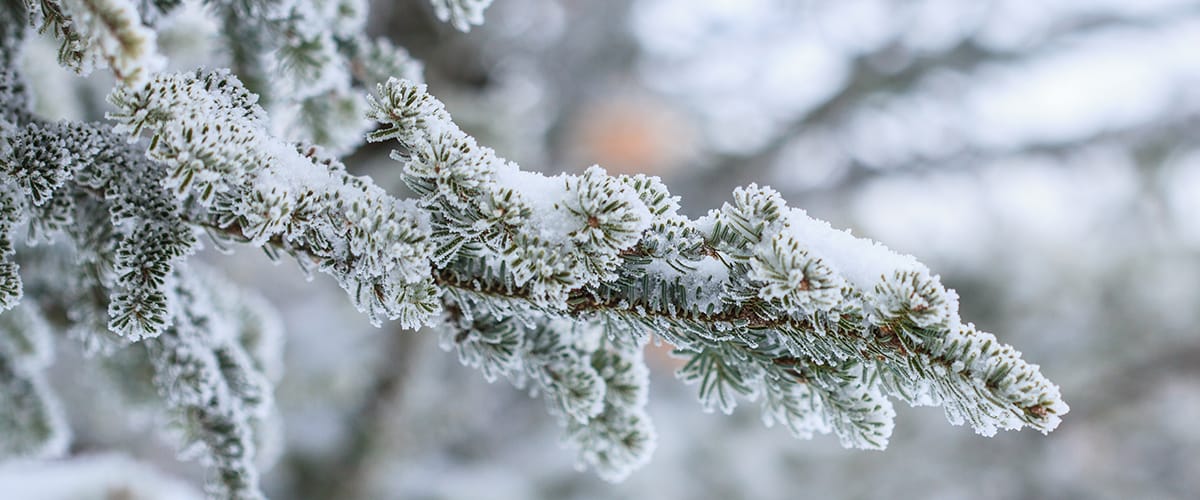 Winterize Your Home for the Holidays - askHRgreen.org